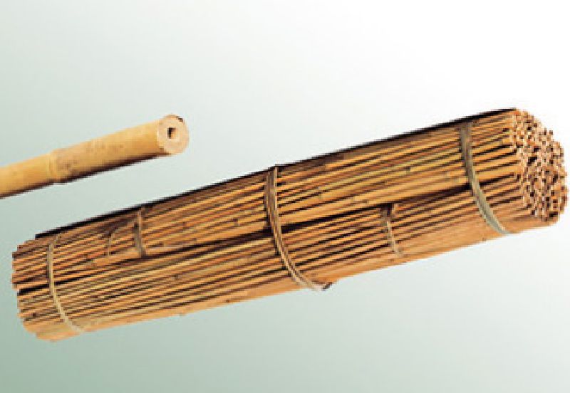 Schutz + Pflege :: Baumschule Ritthaler Obst für Garten, Feld und Wiese